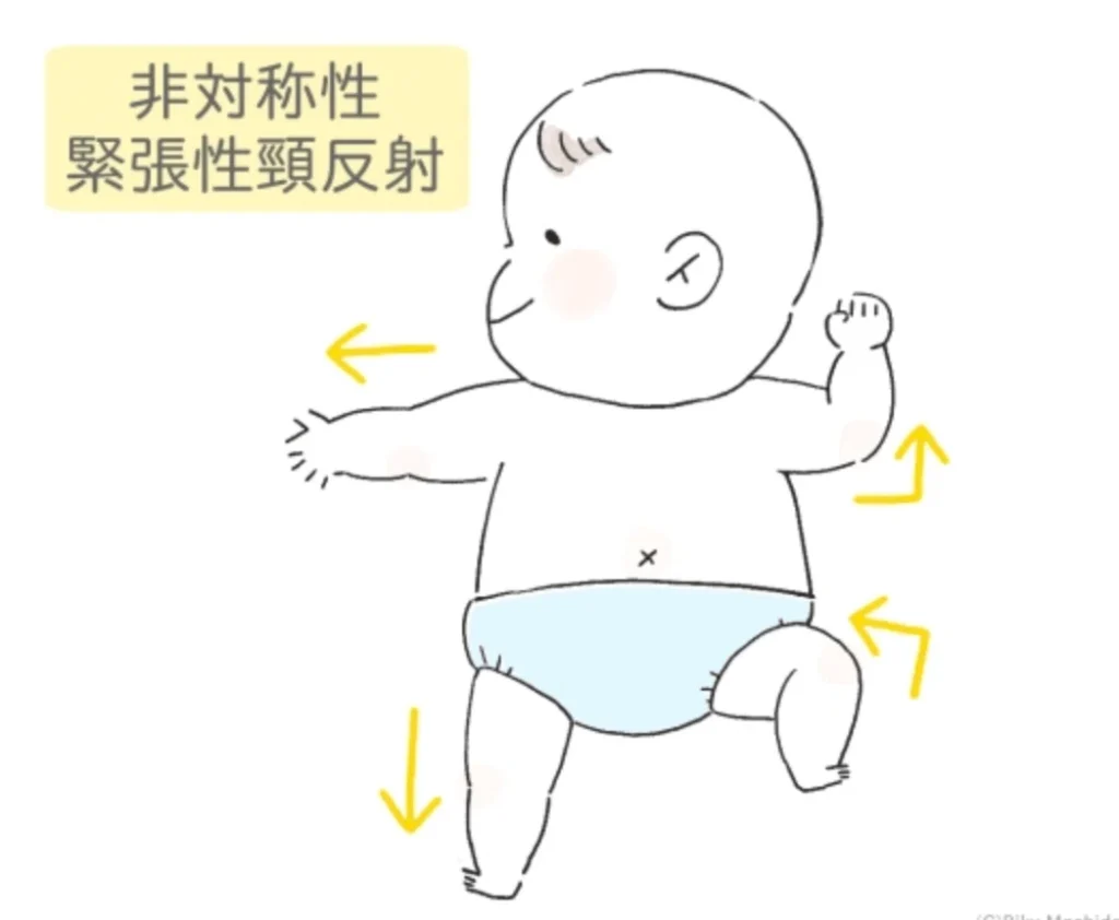 非対称性緊張性頸反射（ATNR) | フィジカルケア&パフォーマンスアップよし